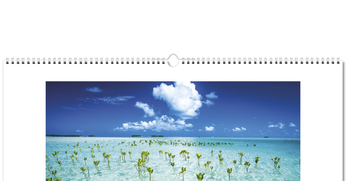 Blue Planet Branded Wall Calendar | Brunel Trade Services