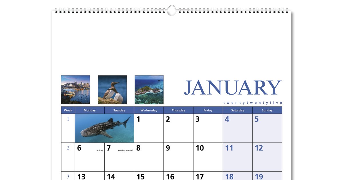 Organiser Branded Wall Calendar | Brunel Trade Services